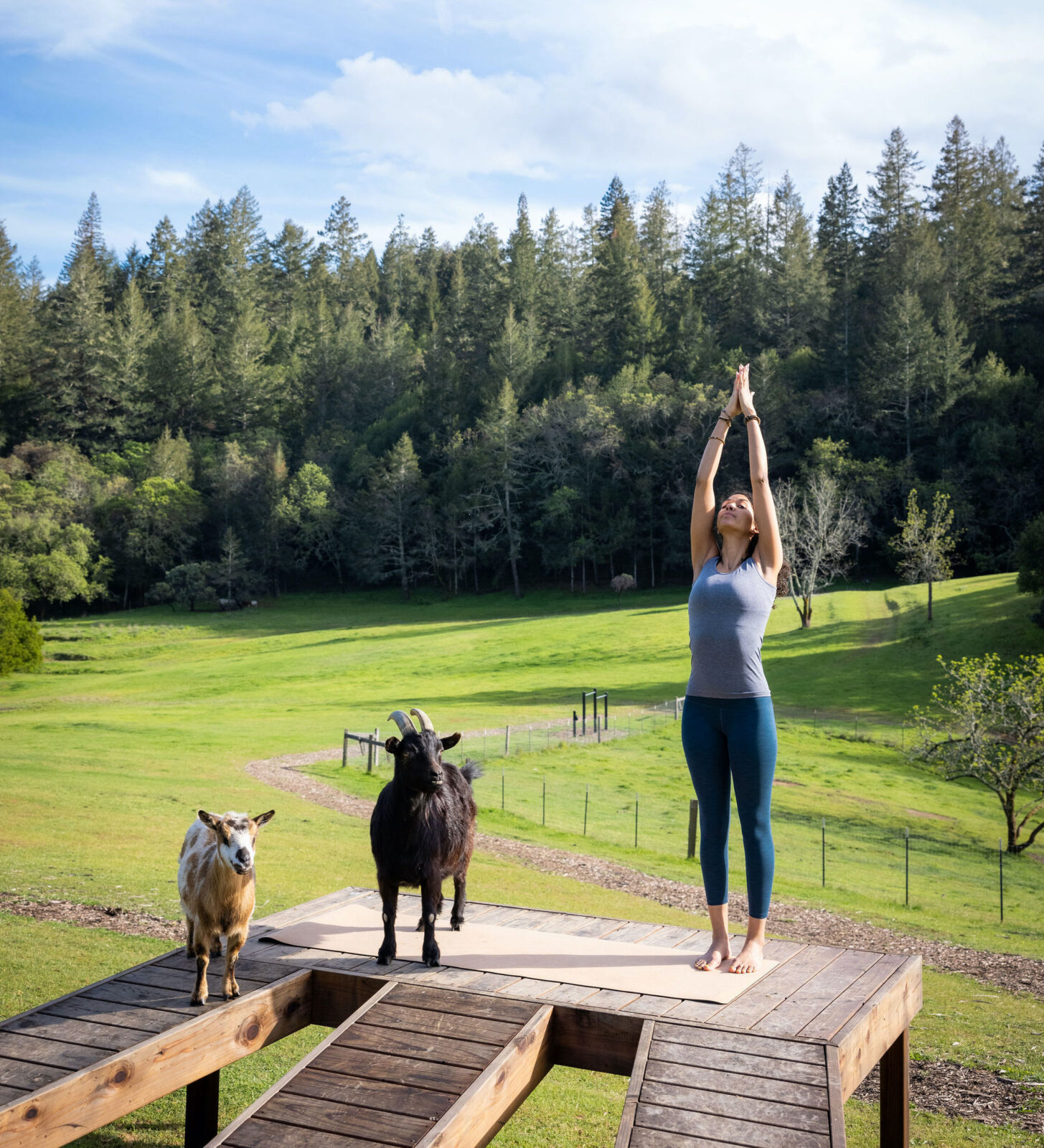 Guided Yoga - NewTree Ranch