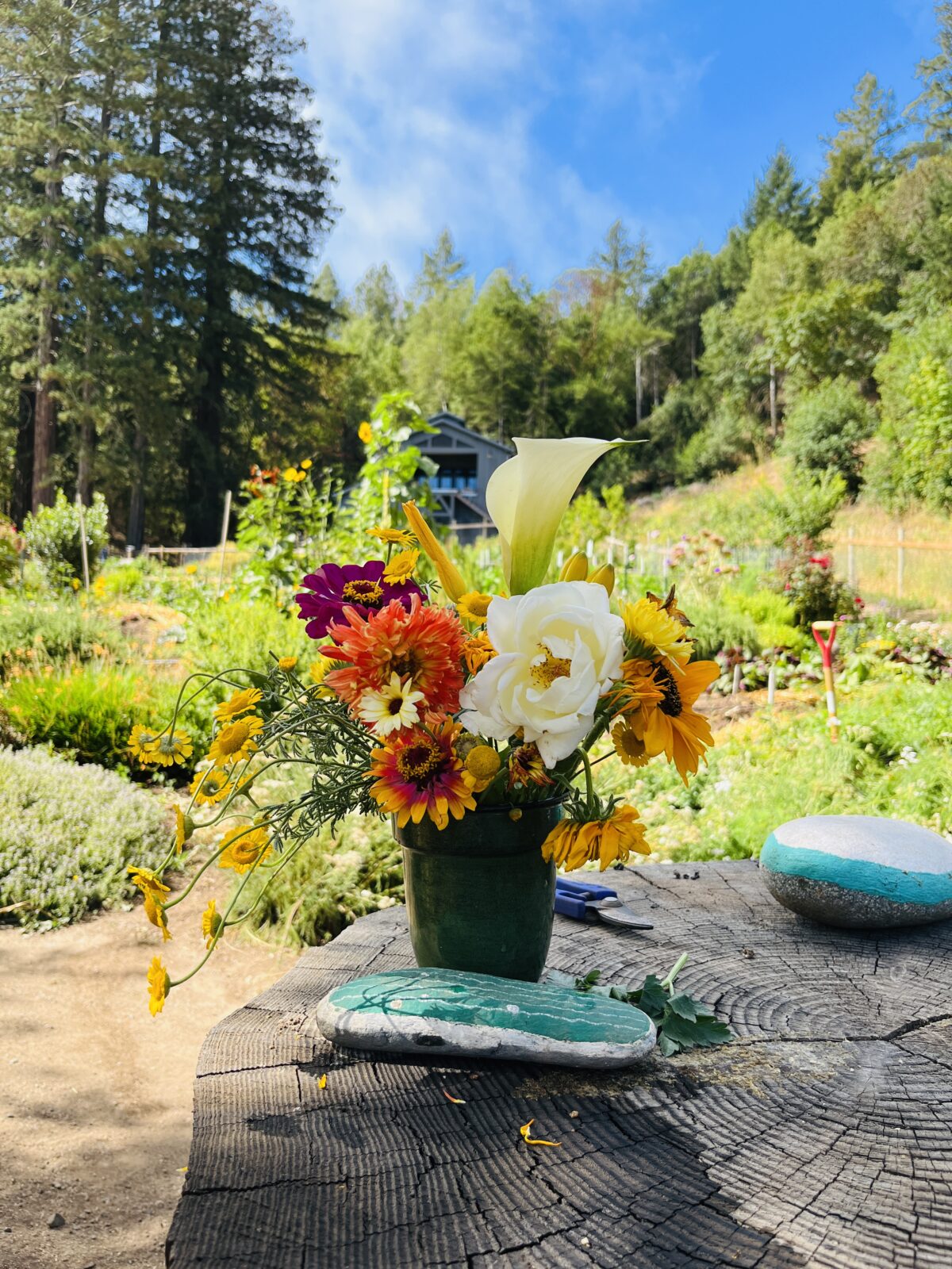 Experiences - NewTree Ranch