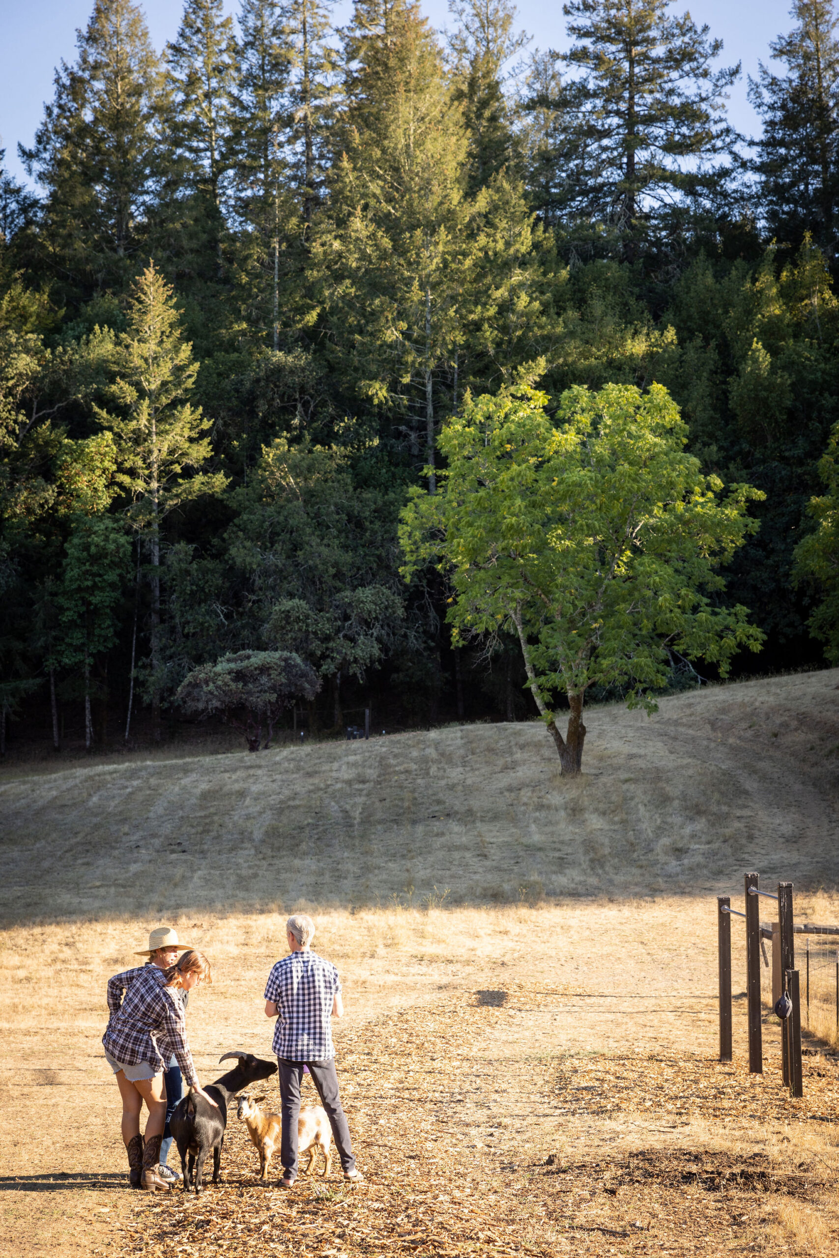 Interactive Family Retreat - NewTree Ranch