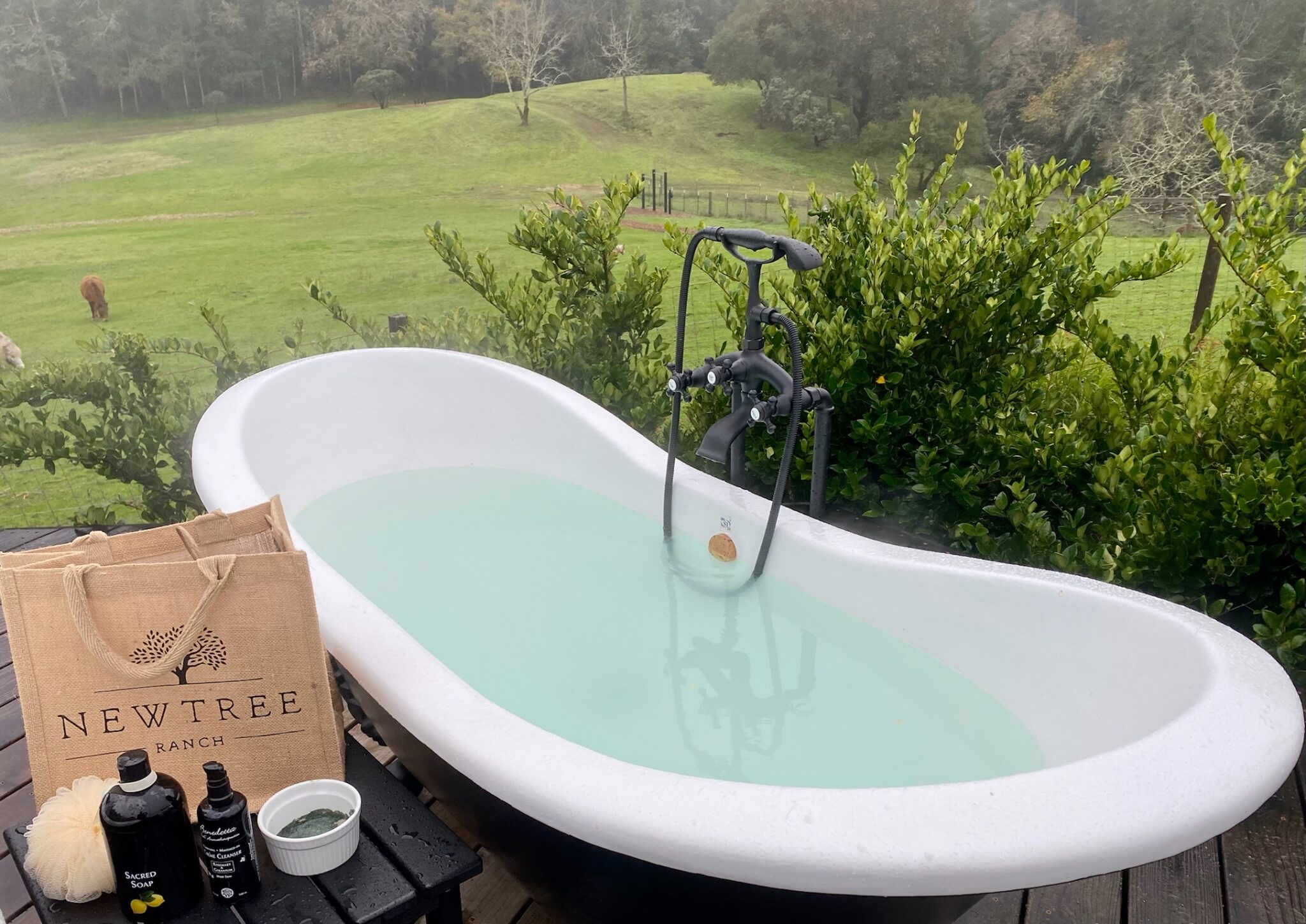 Experiences - NewTree Ranch