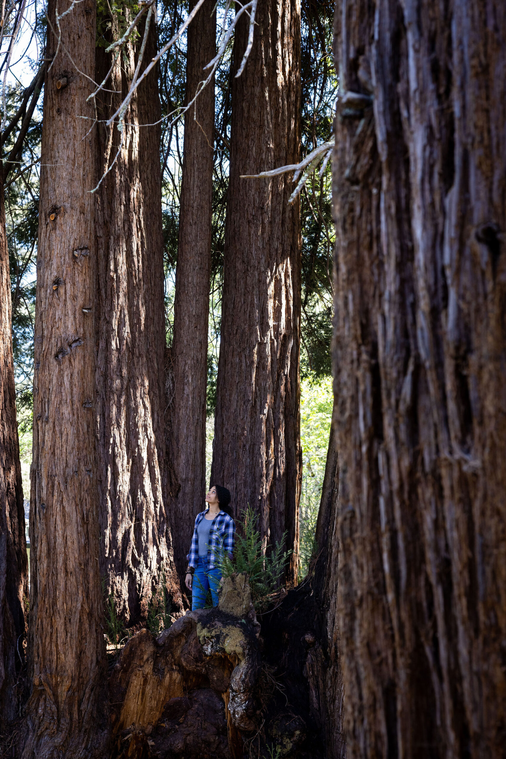 Experiences - NewTree Ranch
