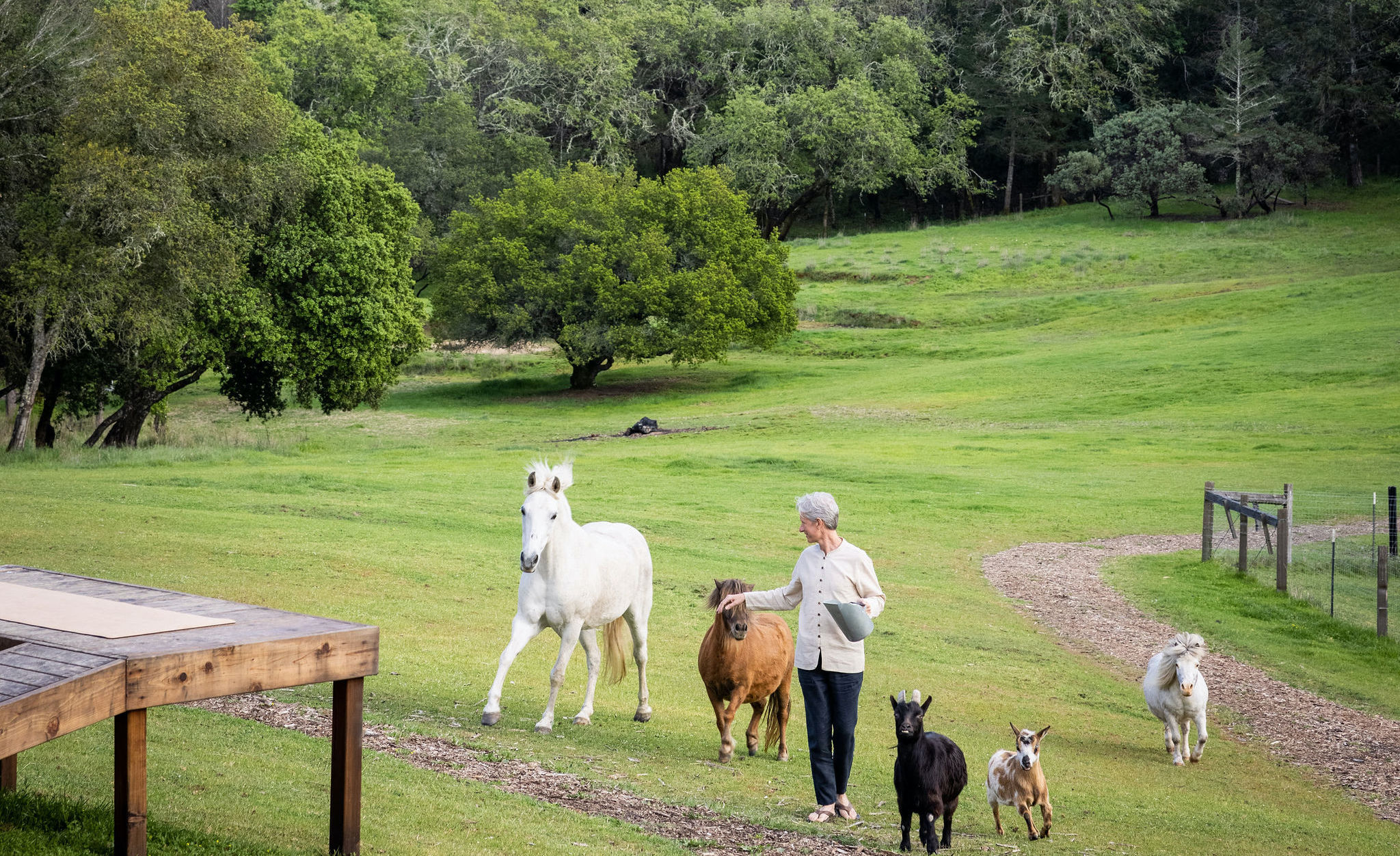 Experiences - NewTree Ranch